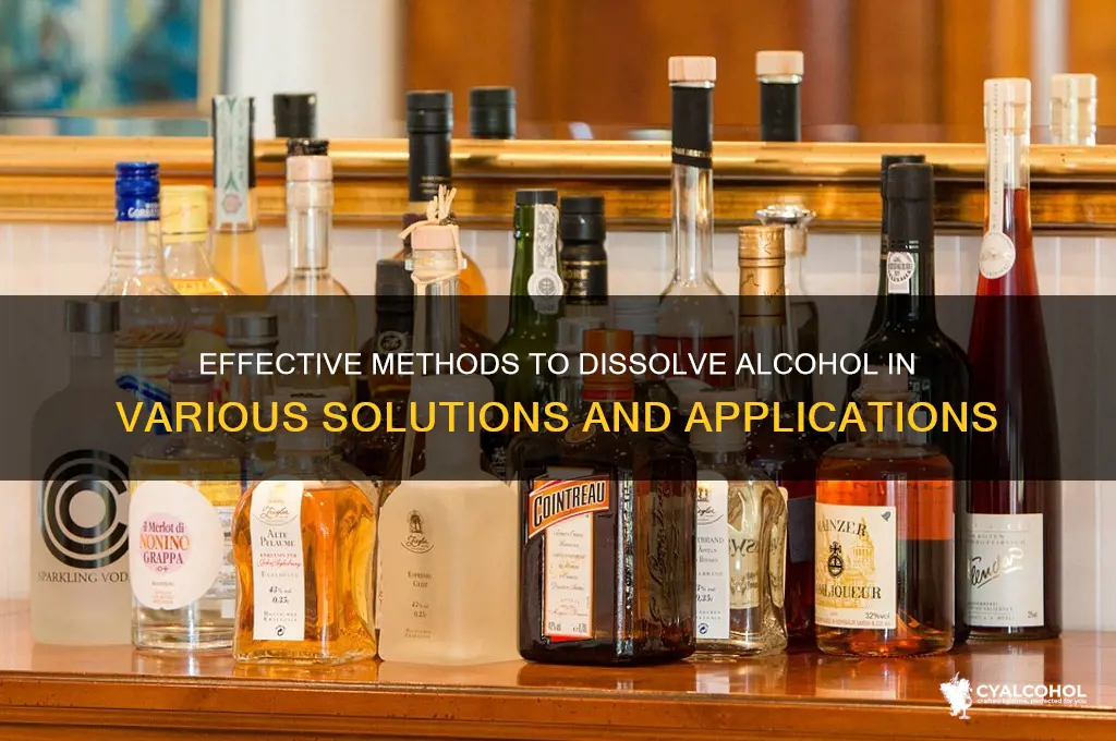 Effective Methods To Dissolve Alcohol In Various Solutions And ...