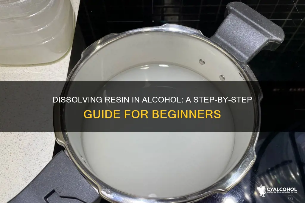 Dissolving Resin In Alcohol: A Step-By-Step Guide For Beginners | CyAlcohol