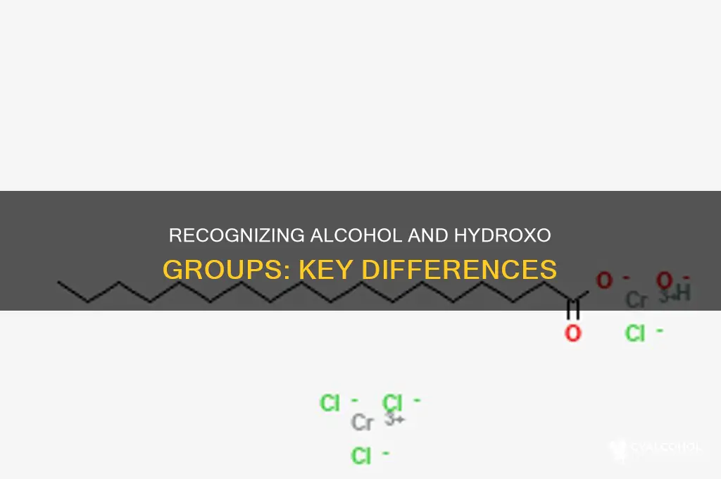 Recognizing Alcohol And Hydroxo Groups: Key Differences | CyAlcohol