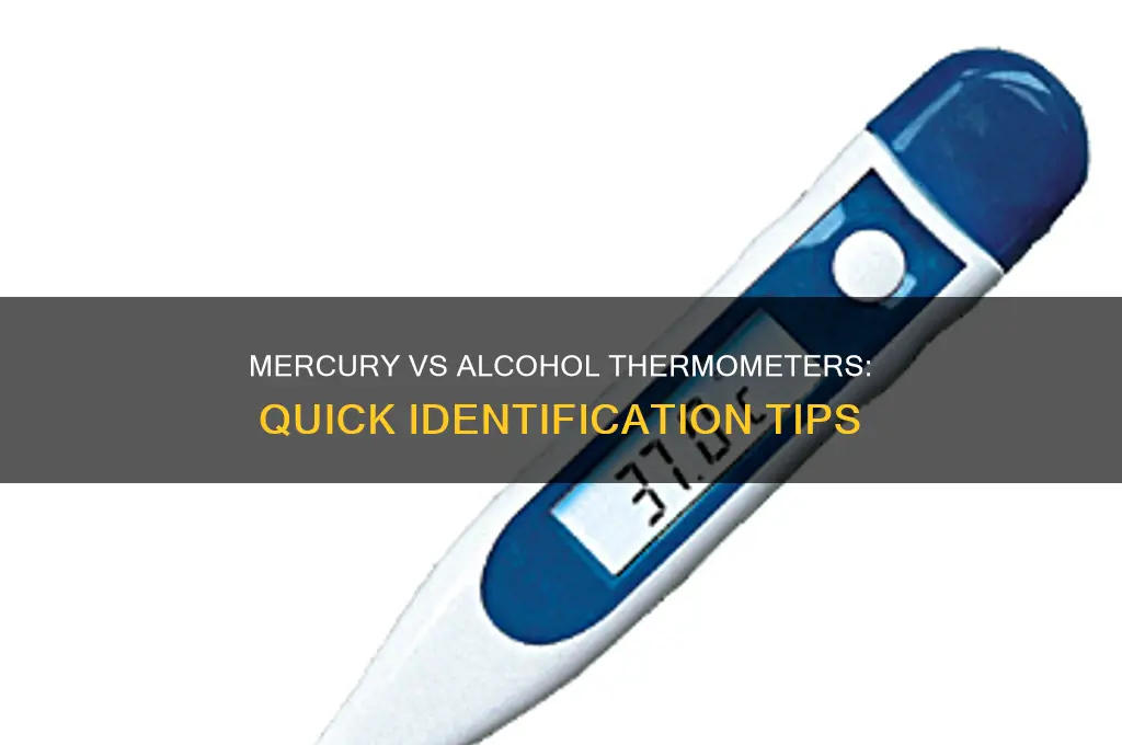 Mercury Vs Alcohol Thermometers: Quick Identification Tips | CyAlcohol