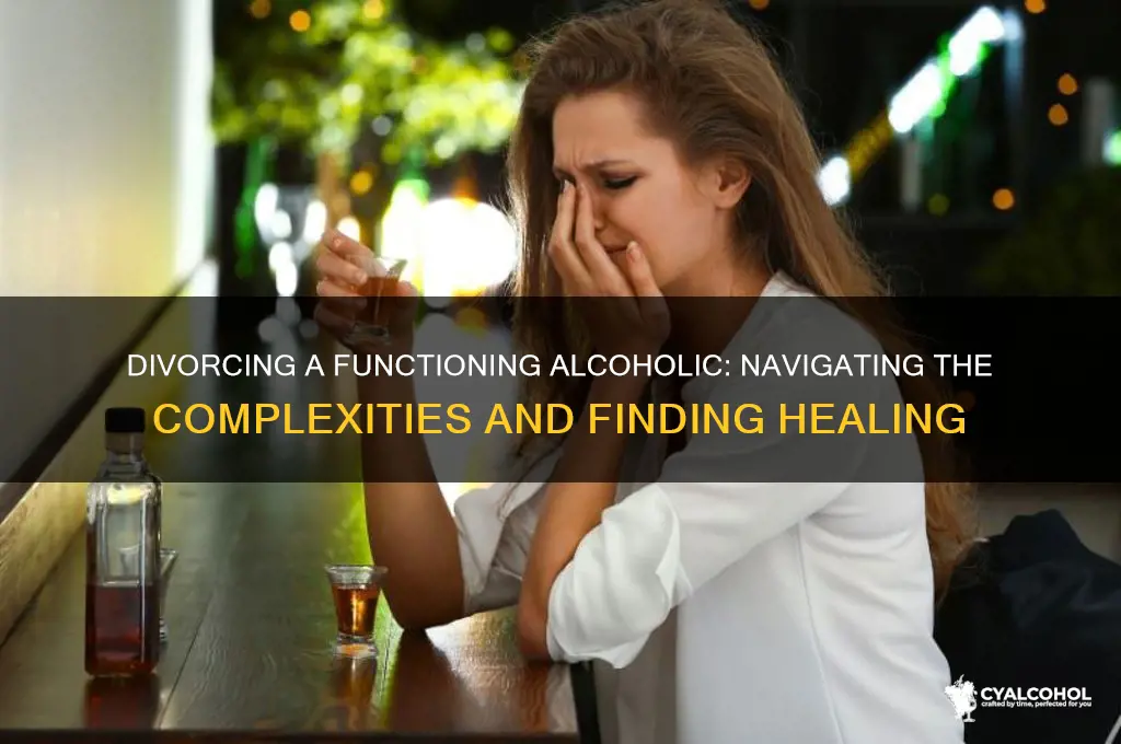 Divorcing A Functioning Alcoholic: Navigating The Complexities And ...