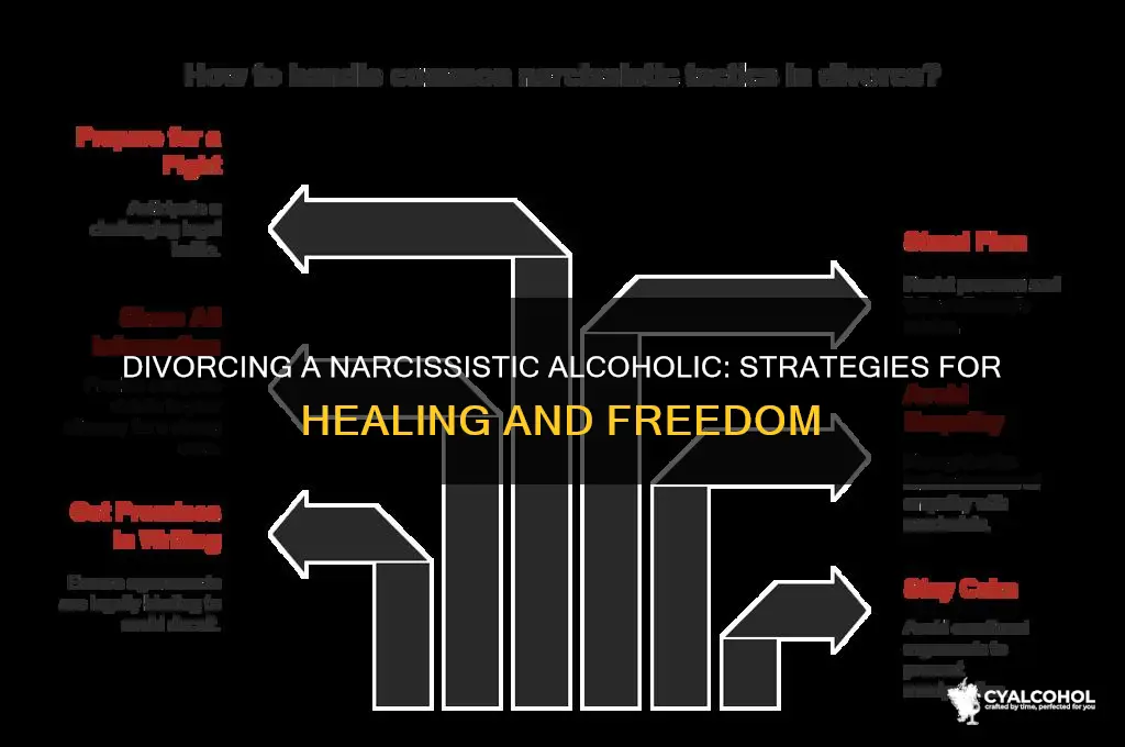 Divorcing A Narcissistic Alcoholic: Strategies For Healing And Freedom ...