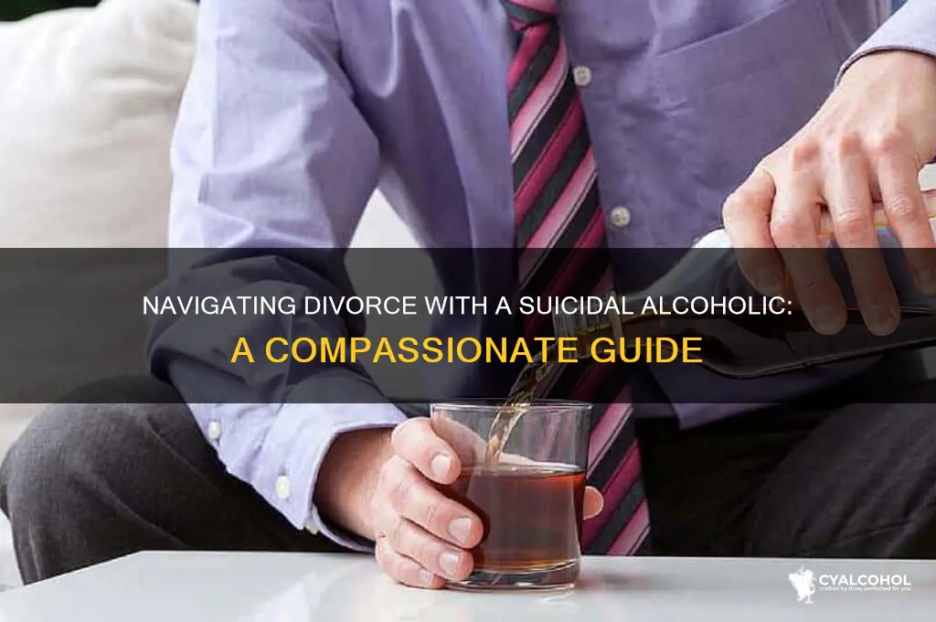Navigating Divorce With A Suicidal Alcoholic: A Compassionate Guide ...