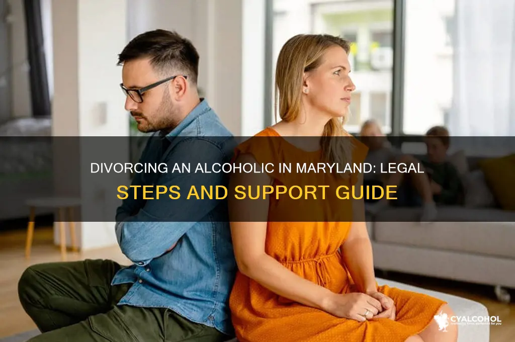 Divorcing An Alcoholic In Maryland: Legal Steps And Support Guide ...