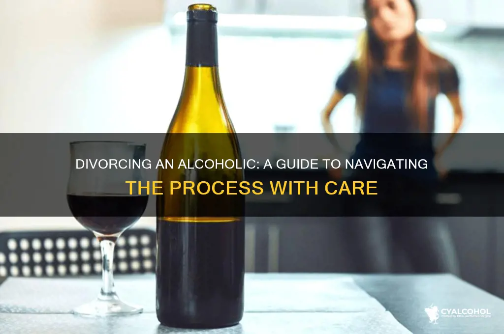 Divorcing An Alcoholic: A Guide To Navigating The Process With Care ...
