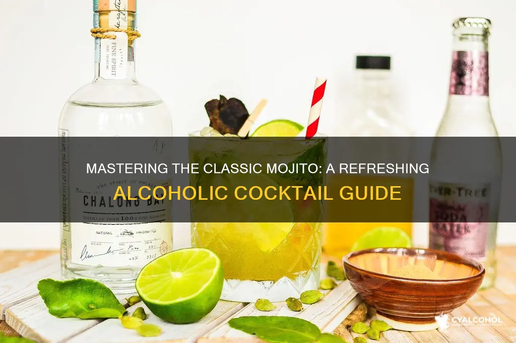 Mastering The Classic Mojito: A Refreshing Alcoholic Cocktail Guide ...