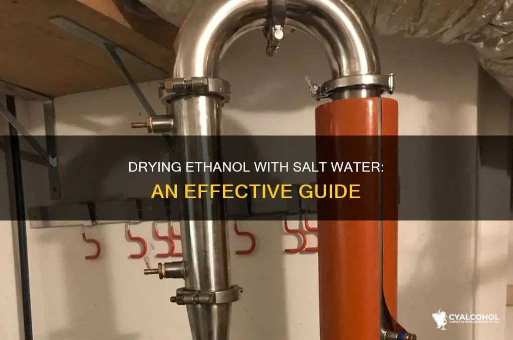 Drying Ethanol With Salt Water: An Effective Guide | CyAlcohol