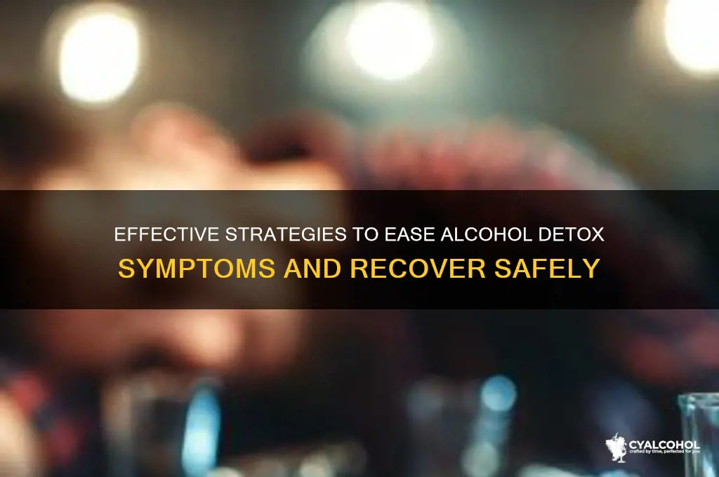 Effective Strategies To Ease Alcohol Detox Symptoms And Recover Safely ...