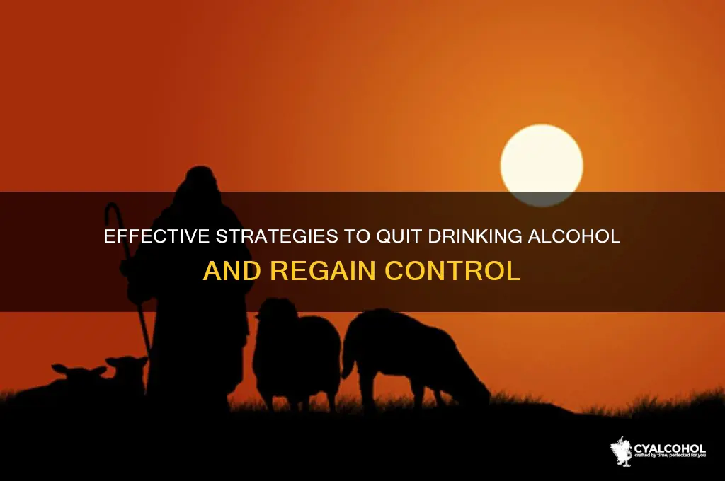 Effective Strategies To Quit Drinking Alcohol And Regain Control ...