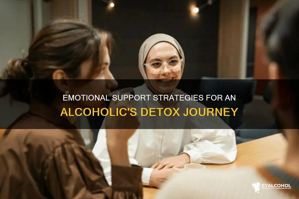 Emotional Support Strategies For An Alcoholic's Detox Journey | CyAlcohol