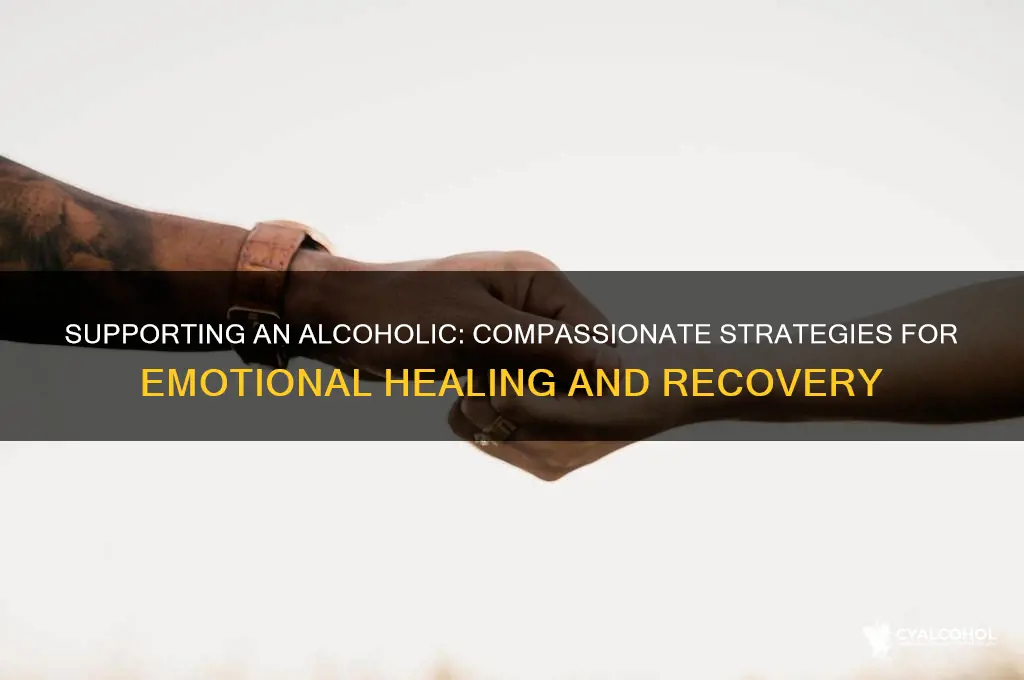 Supporting An Alcoholic: Compassionate Strategies For Emotional Healing ...