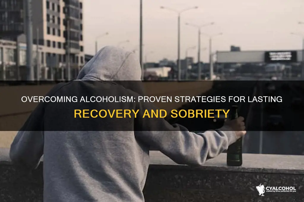 Overcoming Alcoholism: Proven Strategies For Lasting Recovery And ...
