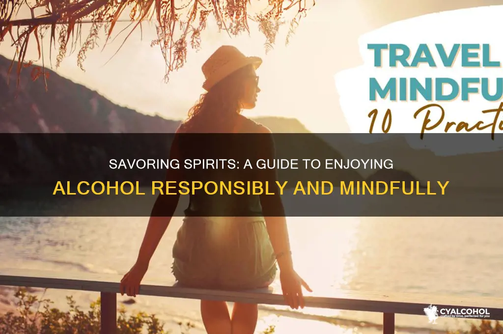 Savoring Spirits: A Guide To Enjoying Alcohol Responsibly And Mindfully ...