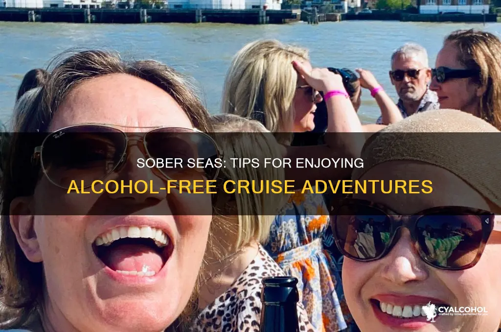Sober Seas: Tips For Enjoying Alcohol-Free Cruise Adventures | CyAlcohol