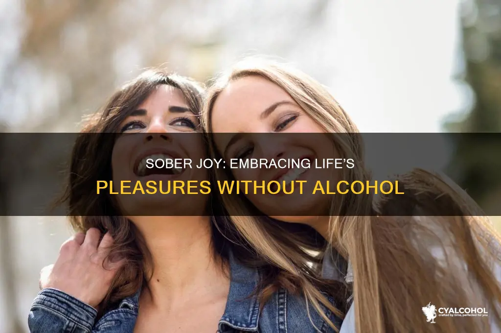 Sober Joy: Embracing Life’S Pleasures Without Alcohol | CyAlcohol
