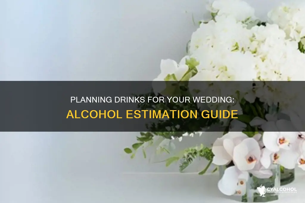 Planning Drinks For Your Wedding: Alcohol Estimation Guide | CyAlcohol