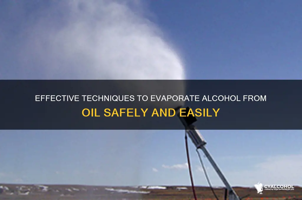 Effective Techniques To Evaporate Alcohol From Oil Safely And Easily ...