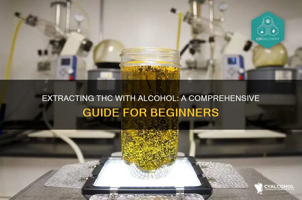 Extracting Thc With Alcohol: A Comprehensive Guide For Beginners ...