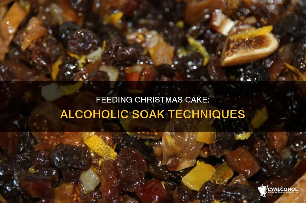 Feeding Christmas Cake: Alcoholic Soak Techniques | CyAlcohol