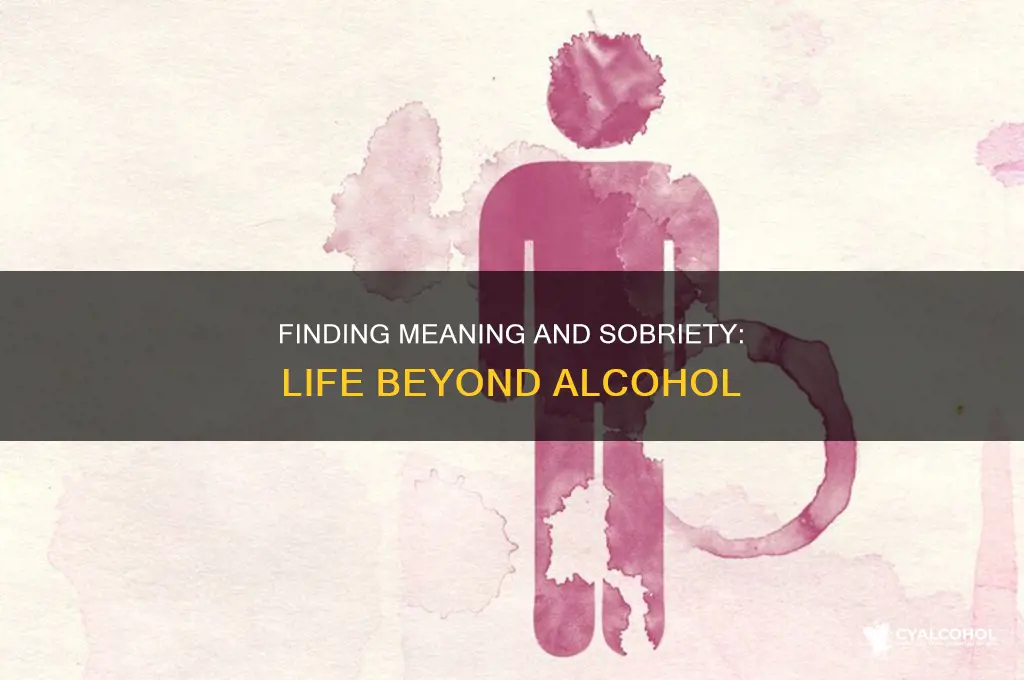 Finding Meaning And Sobriety: Life Beyond Alcohol | CyAlcohol