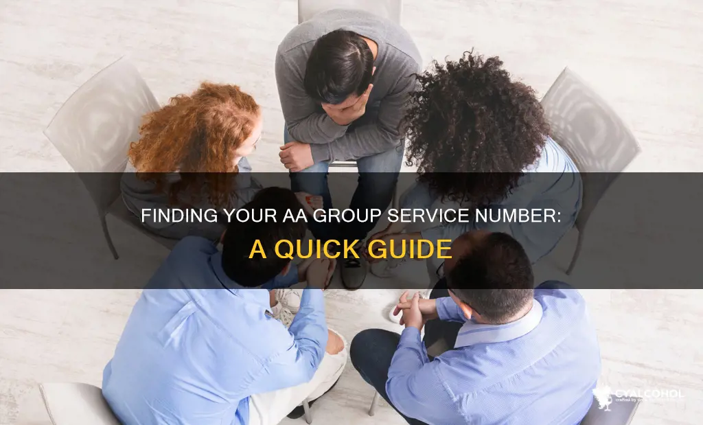 Finding Your Aa Group Service Number: A Quick Guide | CyAlcohol