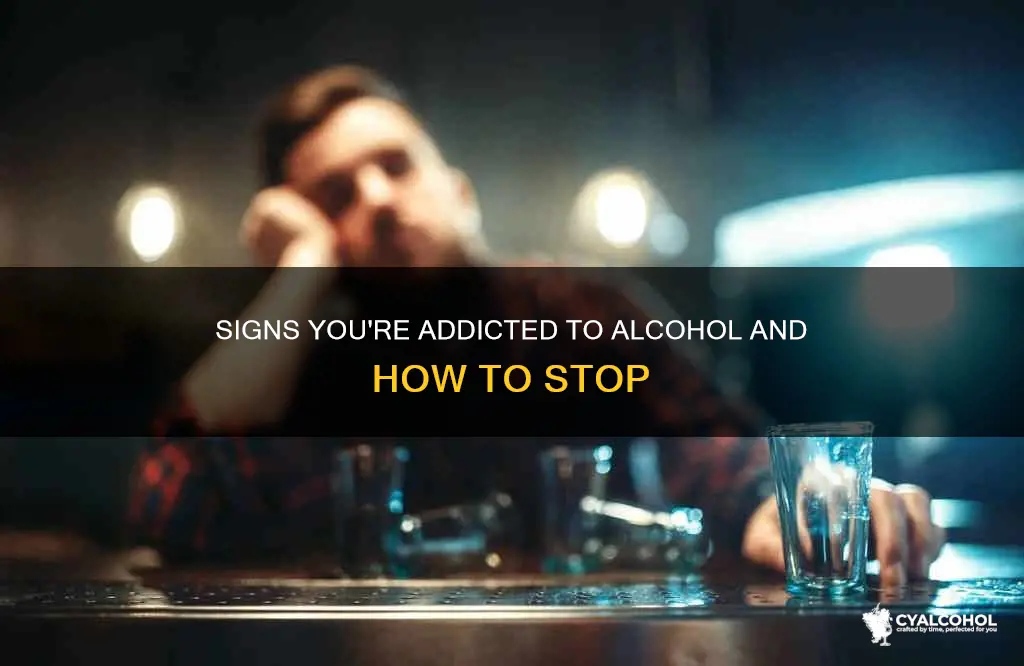 Signs You're Addicted To Alcohol And How To Stop | CyAlcohol