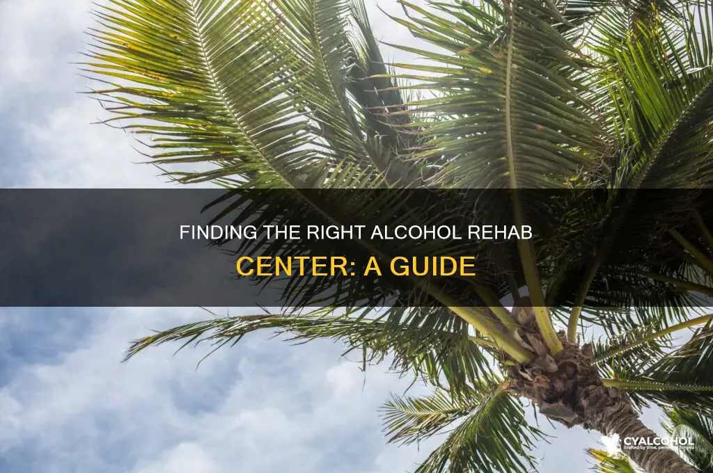 Finding The Right Alcohol Rehab Center: A Guide | CyAlcohol