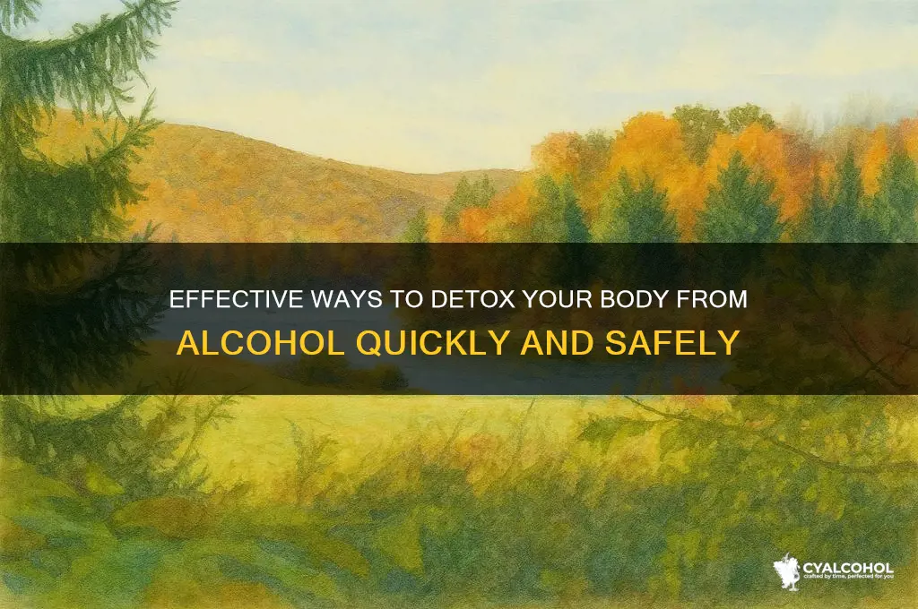 Effective Ways To Detox Your Body From Alcohol Quickly And Safely ...
