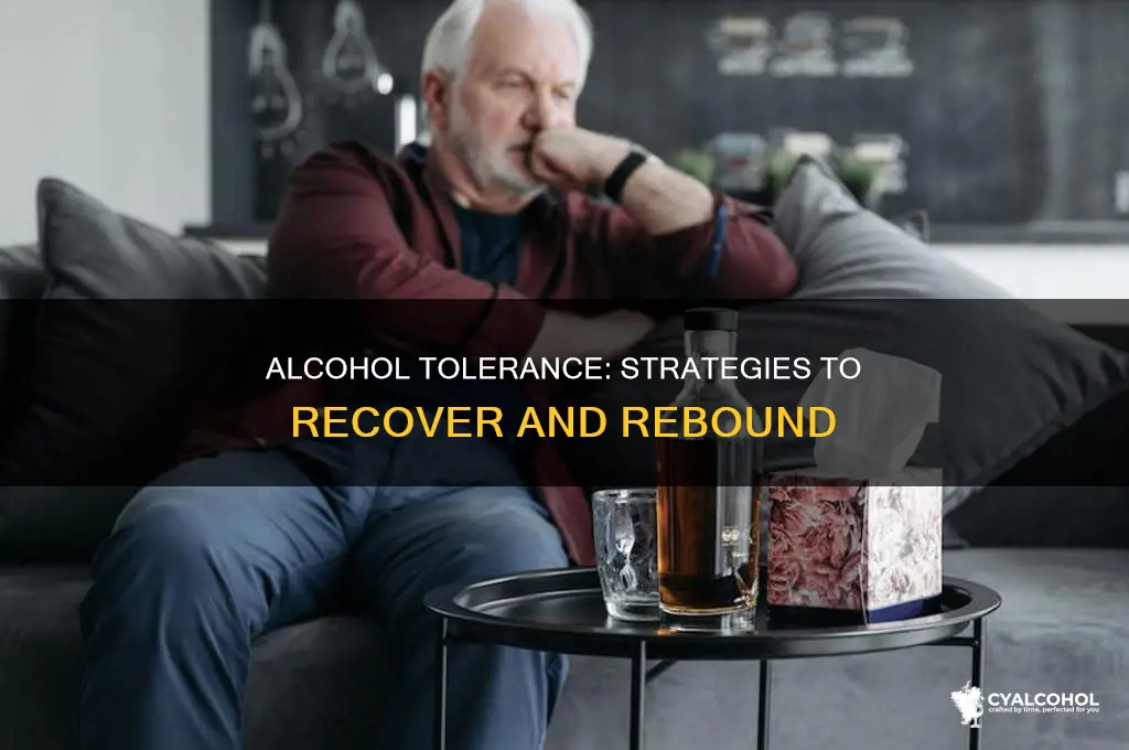 Alcohol Tolerance: Strategies To Recover And Rebound | CyAlcohol