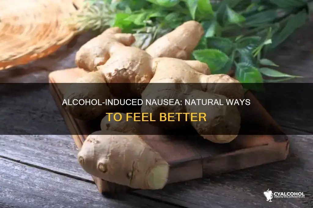 Alcohol-Induced Nausea: Natural Ways To Feel Better | CyAlcohol