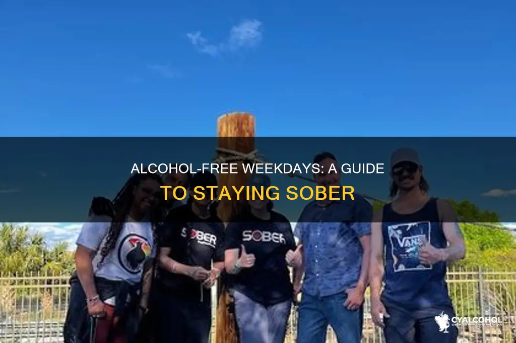 Alcohol-Free Weekdays: A Guide To Staying Sober | CyAlcohol