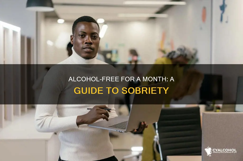 Alcohol-Free For A Month: A Guide To Sobriety | CyAlcohol