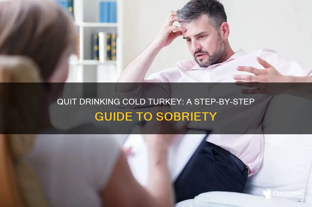 Quit Drinking Cold Turkey: A Step-By-Step Guide To Sobriety | CyAlcohol