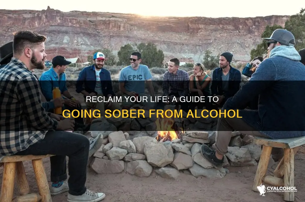 Reclaim Your Life: A Guide To Going Sober From Alcohol | CyAlcohol