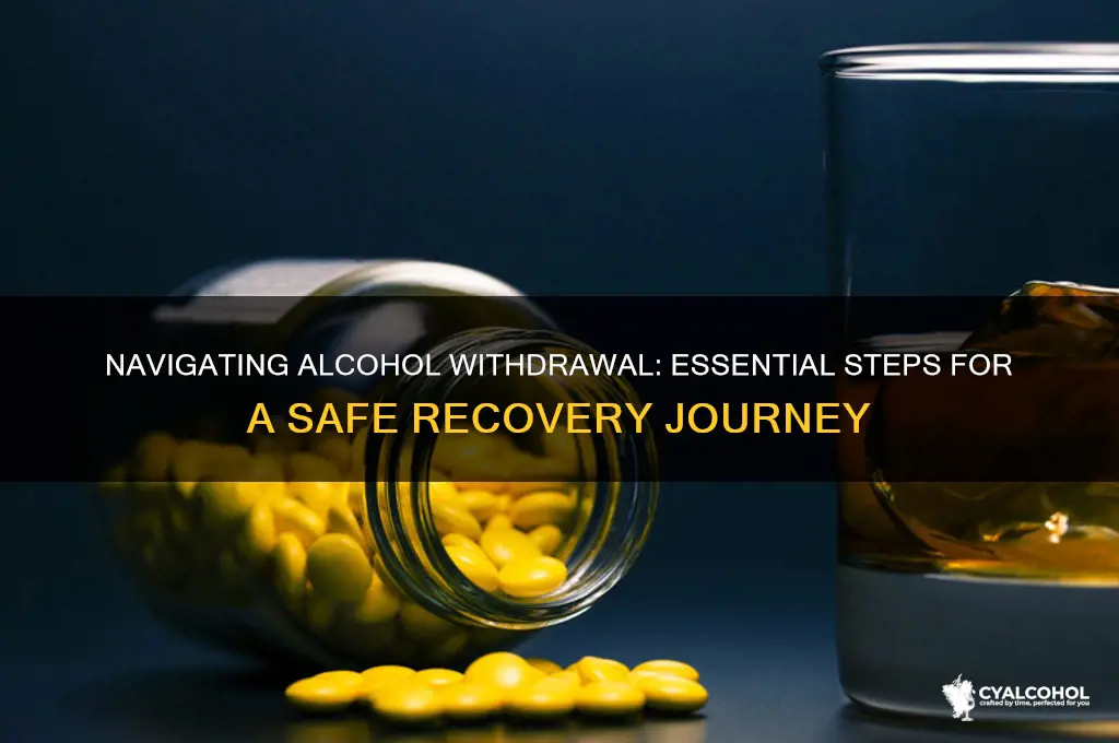Navigating Alcohol Withdrawal: Essential Steps For A Safe Recovery ...