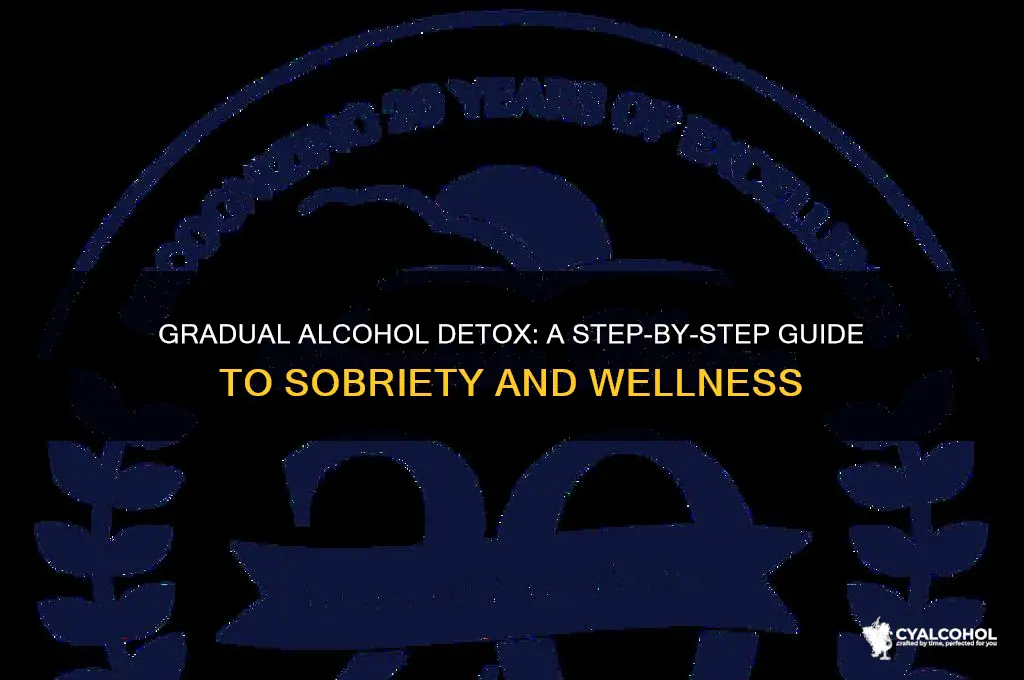 Gradual Alcohol Detox: A Step-By-Step Guide To Sobriety And Wellness ...