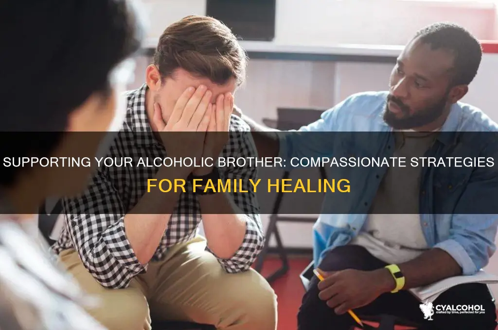 Supporting Your Alcoholic Brother: Compassionate Strategies For Family ...