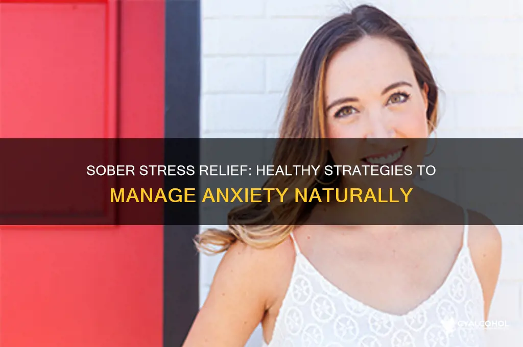 Sober Stress Relief: Healthy Strategies To Manage Anxiety Naturally ...