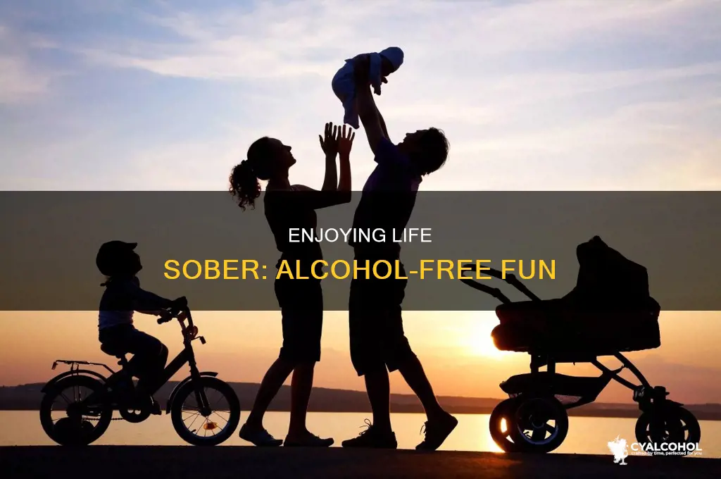 Enjoying Life Sober: Alcohol-Free Fun | CyAlcohol