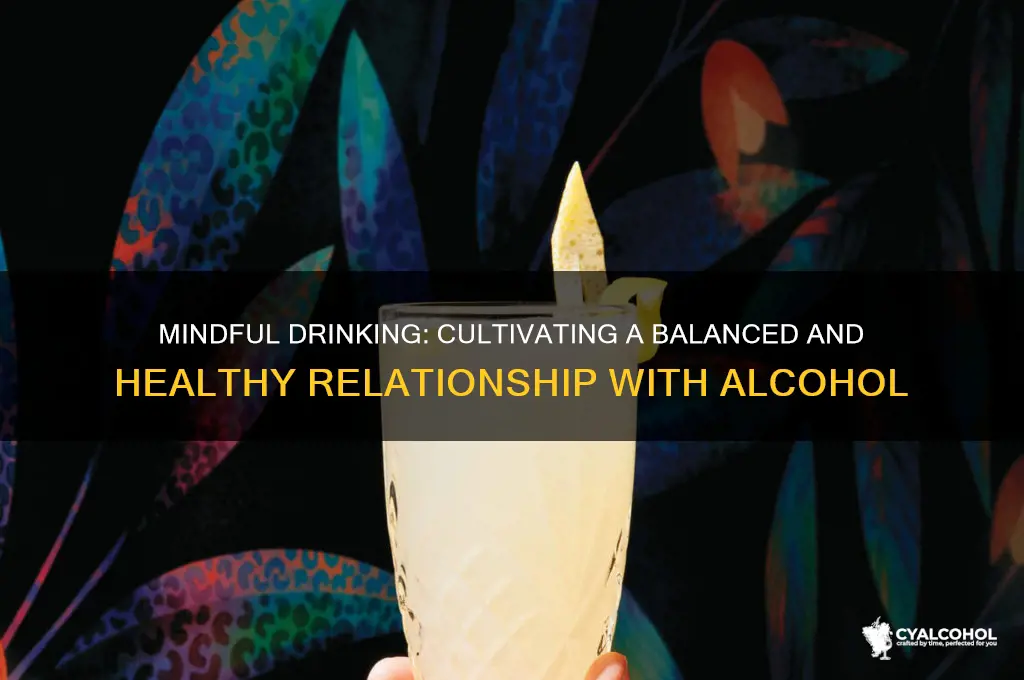 Mindful Drinking: Cultivating A Balanced And Healthy Relationship With ...