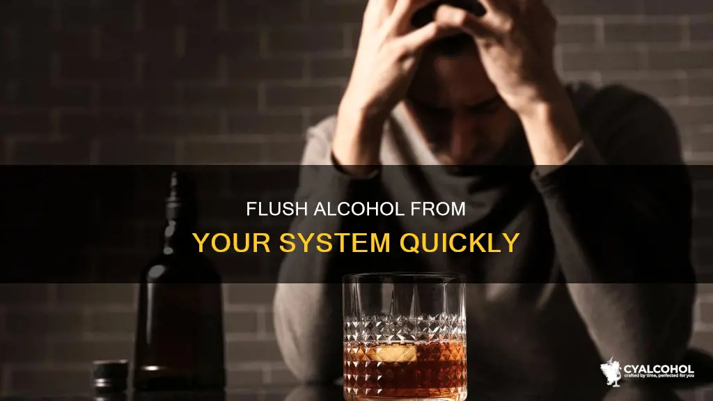 Flush Alcohol From Your System Quickly | CyAlcohol