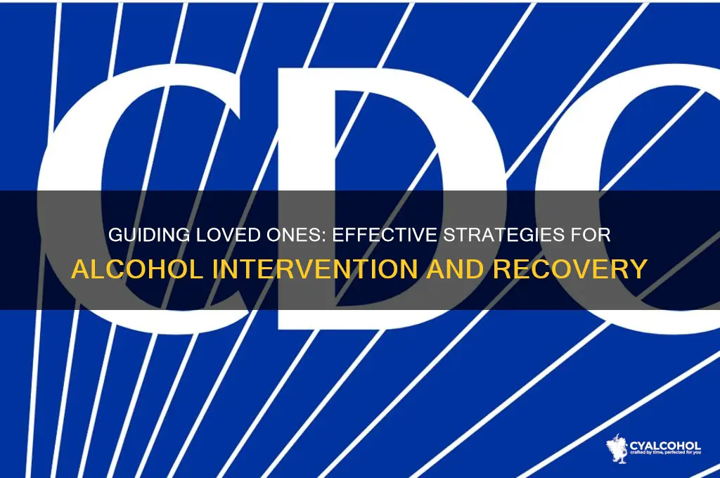 Guiding Loved Ones: Effective Strategies For Alcohol Intervention And ...