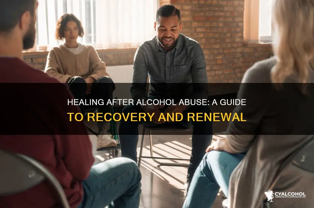 Healing After Alcohol Abuse: A Guide To Recovery And Renewal | CyAlcohol