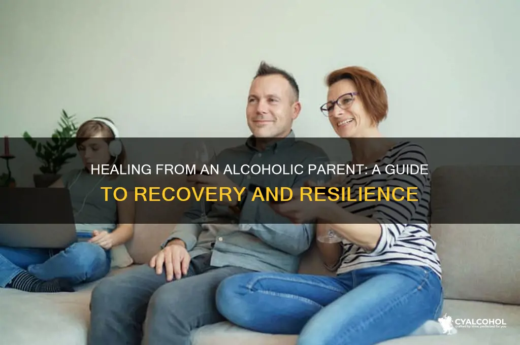 Healing From An Alcoholic Parent: A Guide To Recovery And Resilience ...
