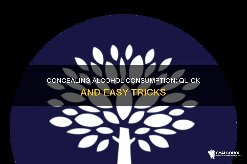 Concealing Alcohol Consumption: Quick And Easy Tricks | CyAlcohol