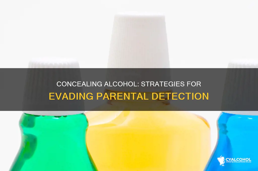 Concealing Alcohol: Strategies For Evading Parental Detection | CyAlcohol