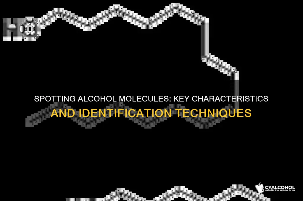 Spotting Alcohol Molecules: Key Characteristics And Identification ...