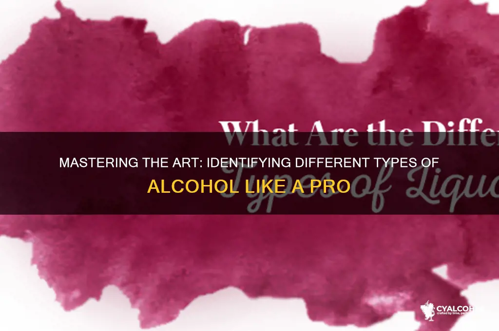 Mastering The Art: Identifying Different Types Of Alcohol Like A Pro ...