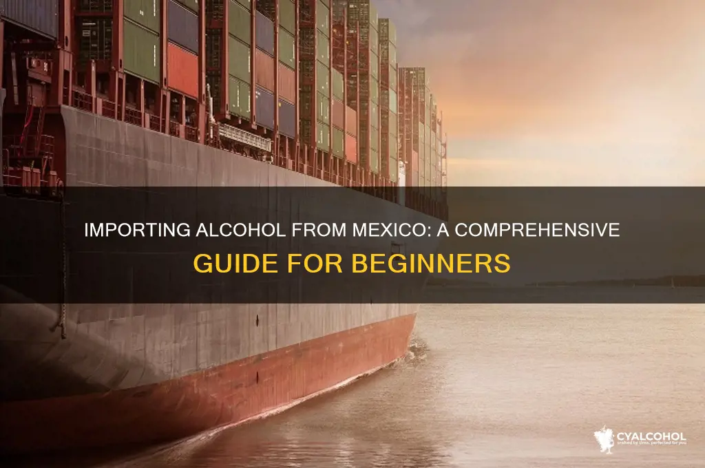 Importing Alcohol From Mexico: A Comprehensive Guide For Beginners ...