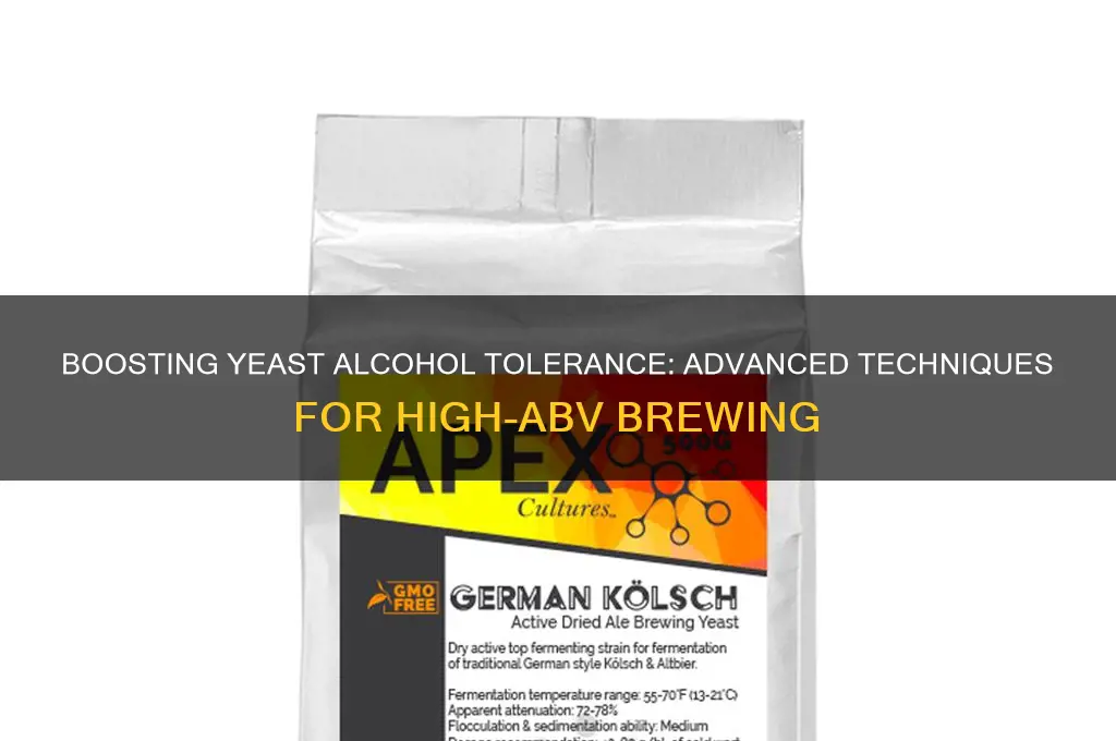 Boosting Yeast Alcohol Tolerance: Advanced Techniques For High-Abv ...